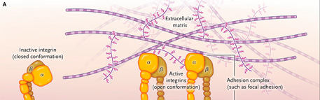 SAVALnet - Ciencia y Medicina - Progresos Médicos